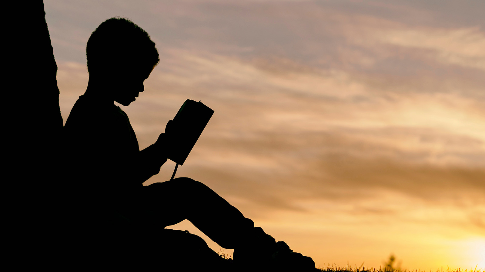 Alabama Reading Initiative | Regional Inservice Education Center